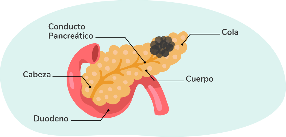 Alcanzar - Programa para pacientes